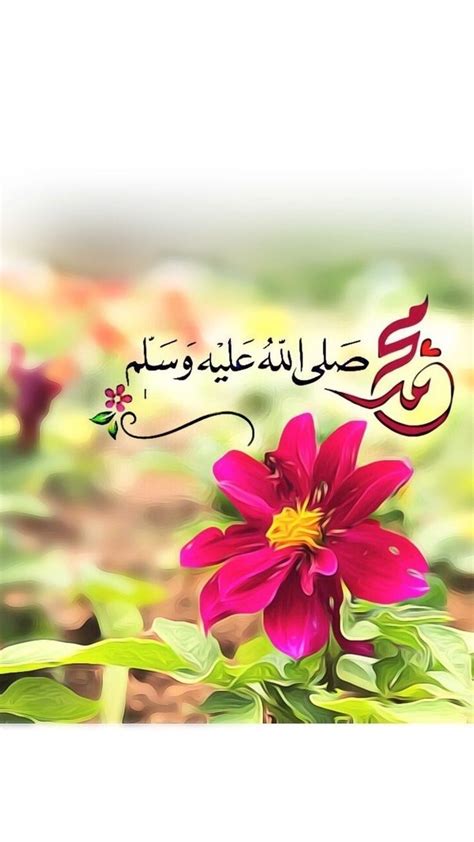 Pin By Samina Naz On Aخاتم النبیّین محمد صلّی اللّٰہ علیہ والہٰ وسلّم