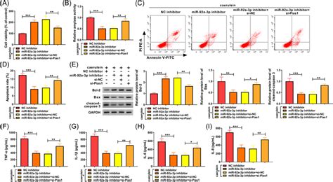 Protein Inhibitor Of Activated Stat1 Pias1 Restoration Reverses The