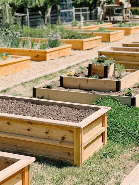 How To Build A Raised Garden Planter