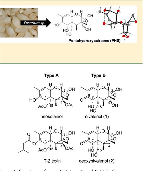 Figure 1 From Isolation And Structure Elucidation Of Pentahydroxyscirpene A Trichothecene