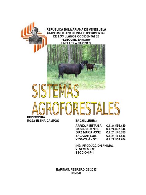 Sistemas Agroforestales Pdf Los Bosques Agricultura
