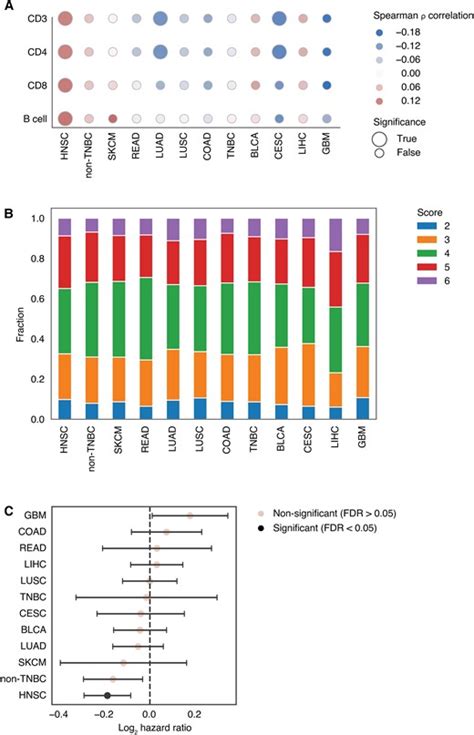 頭頸部がん免疫療法の新たなターゲットになる可能性a Potential New Target For Head And Neck