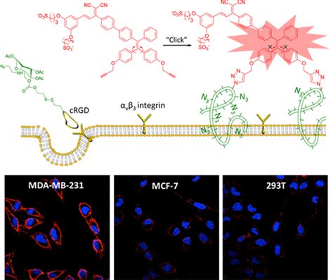Dual Responsive Metabolic Precursor And Light Up AIEgen For Cancer Cell