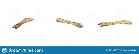 Magnificent 3d Render Hardwood Stump Twig Stock Illustration