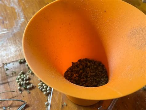 Cannabis Seed Separation Funnel By Caddywhompus Makerworld