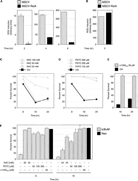 Blepharoptosis Semantic Scholar