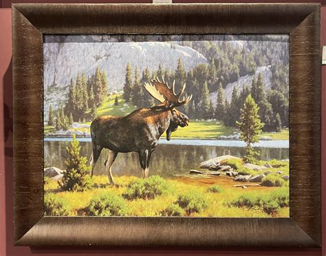 Moose At Dean Lake By Tucker Smith Framed Ashleys Art Gallery