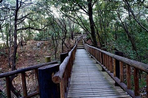 Abenteuer Im Chipinque Ecological Park In Nuevo León Monterrey
