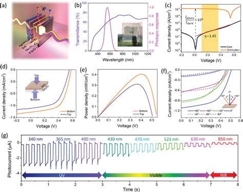 A Schematic Diagram Of The Tpv Under Light Illumination B