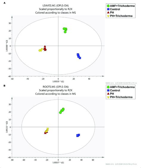 Orthogonal Projection To Latent Structures Discriminant Analysis