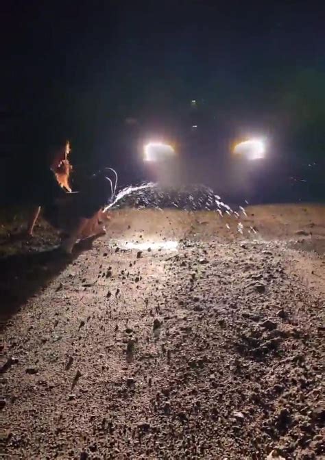 Power Piss Video 24