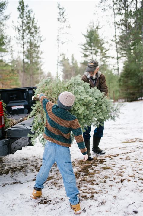 How To Choose The Best Real Sparse Christmas Tree