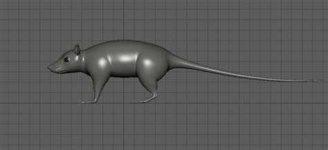 Rat Realistic 3d Model Turbosquid 2125006