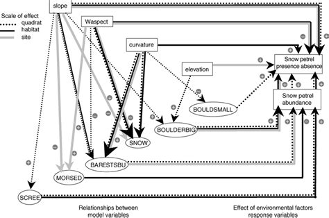 Conceptual Model Showing Relationships Between Model Variables And Download Scientific