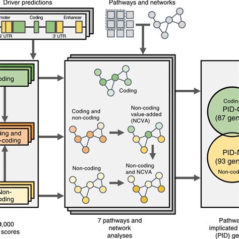 Overview Of The Pathway And Network Analysis Approach Coding