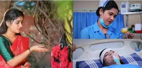 Sembaruthi Parvathy Calls Into Nandhinis Trap Justshowbiz