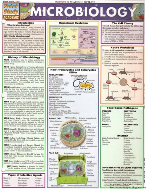 Microbiology Chart At Donald Edwards Blog