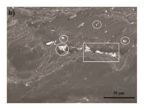 Sem Micrographs Of Tensile Test Fracture Surfaces Of Abssebs G Ma