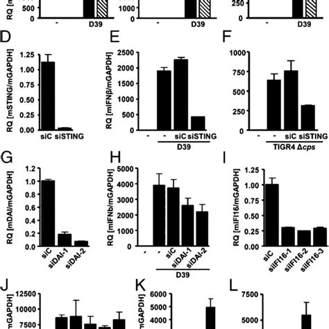 Type I Ifn Responses To Pneumococcal Infection Appear To Be Dependent