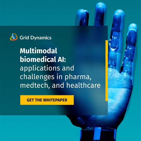 Grid Dynamics On Linkedin Multimodal Biomedical Ai