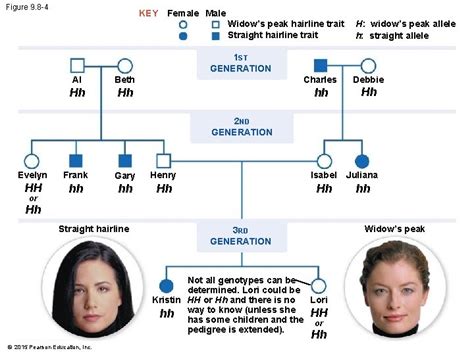 Chapter 9 Patterns Of Inheritance Power Point Lectures