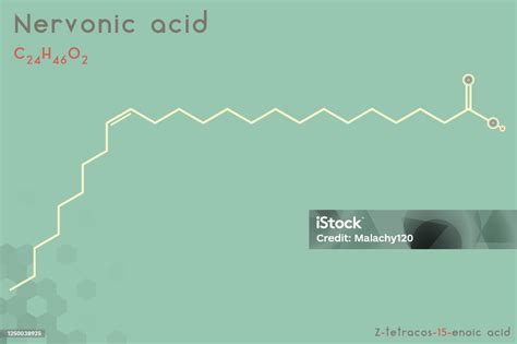 Infographic Of The Molecule Of Nervonic Acid Stock Illustration