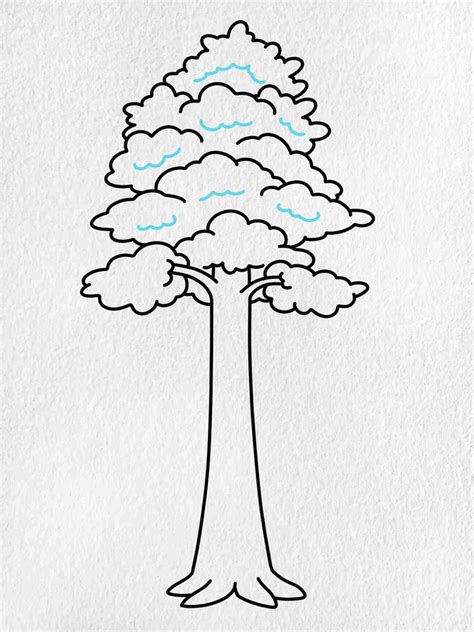 How To Draw A Redwood Tree Helloartsy