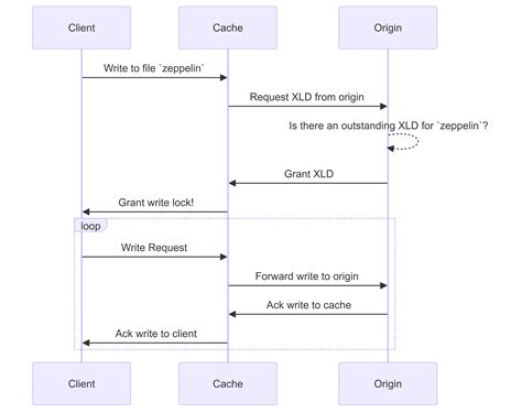 FlexCache Write Back Architecture