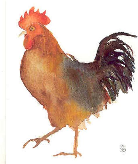 Cockerel