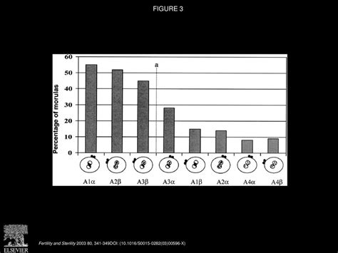 Pronuclear Morphology And Chromosomal Abnormalities As Scoring Criteria