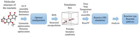 Effects Of Nitro Oxidative Stress On Biomolecules Part 2—reactive Molecular Dynamics Simulations