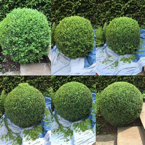 3 058 Likes 165 Comments James Todman James Todman On Instagram