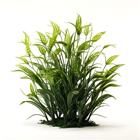 Premium Ai Image Thalassia Dark Green Seagrass With Long Flat Leaves