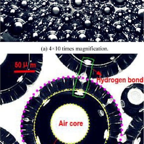 Microstructures Of The Foam Under Different Magnifications A 4 Â 10