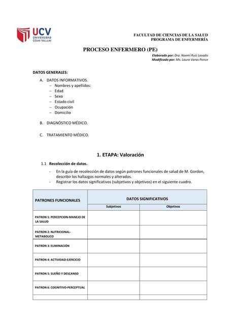 Estructura Proceso Enfermero II DANNER HENRRY FLORES ROJAS UDocz