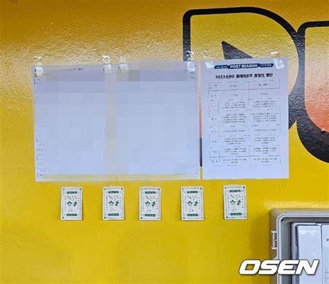‘1패면 탈락 벼랑 끝 2위 ‘행운의 승리 부적 다시 꺼내들었다“오늘은 무조건 이긴다” Po3 조선비즈