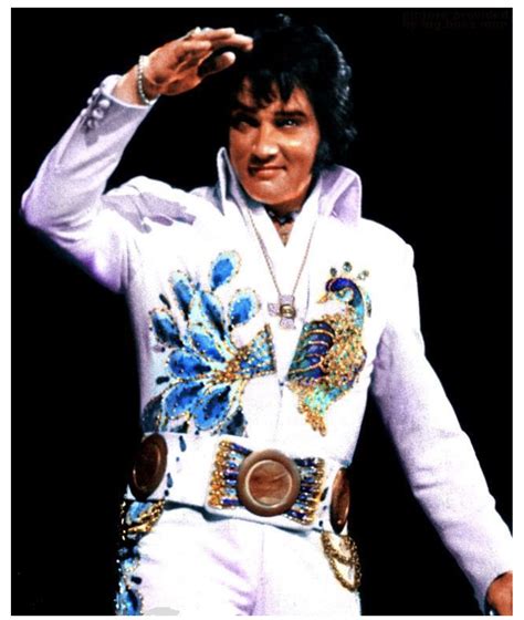 Pin By Melody Mccabe On Costumes Elvis Elvis Presley Concerts Elvis