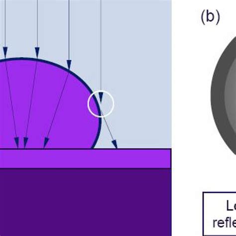 Pdf Bubble And Antibubble Defects In 193i Lithography
