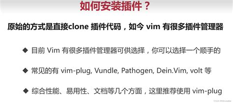 【vim 插件管理器】vim Plug和vim Vbundle的区别vim Plug Vundle Csdn博客