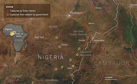 Boko Haram The Other Islamic State The New York Times
