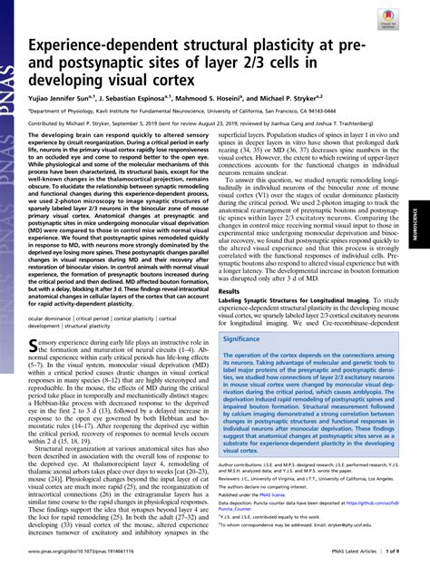 Pdf Experience Dependent Structural Plasticity At Pre And