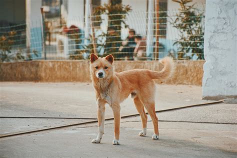 Bella Tw