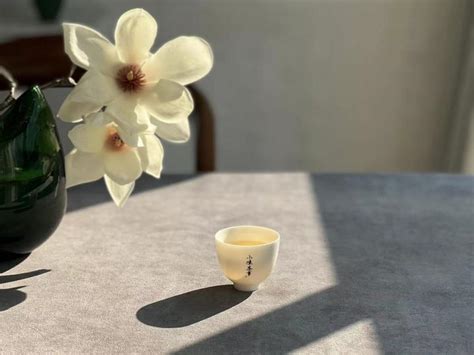 白茶饼撬得很碎怎么办？教你4招学会完美撬茶，告别白茶碎茶烦恼 知乎