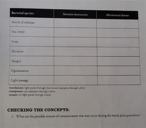 1 How Are Broth Cultures Used In Microbiology 2
