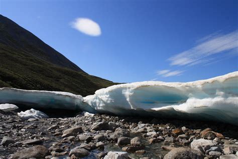 Global Warming Accelerating World S Extinctio EurekAlert