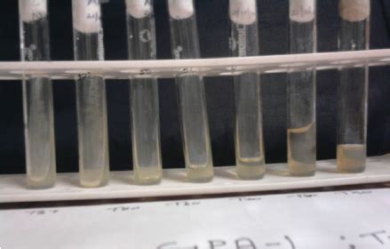 Growth Of GPA 1 On Varying PH From PH 7 12 Download Scientific Diagram