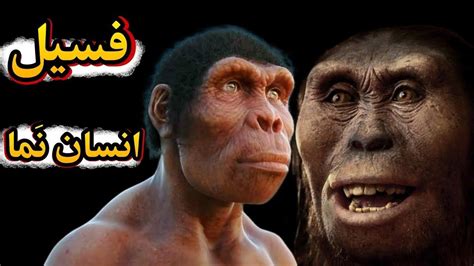 کشف فسیل ۳ میلیون ساله شبیه انسان نماشا