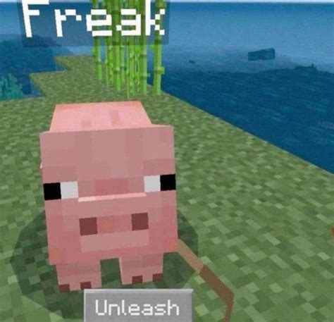 Minecraft Bee Apiary