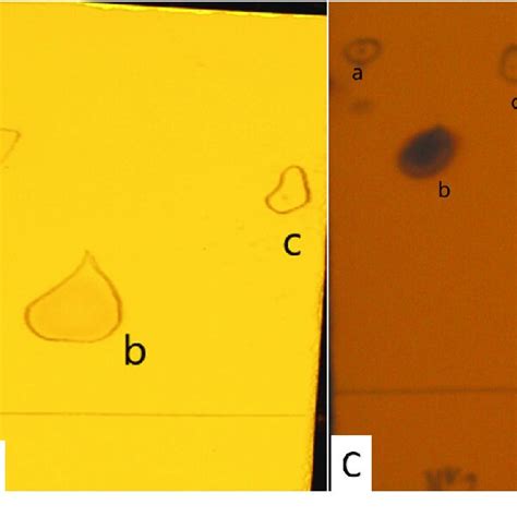 Tlc Of Activated Peg In Solvent System Methanol Edc 73 At Different
