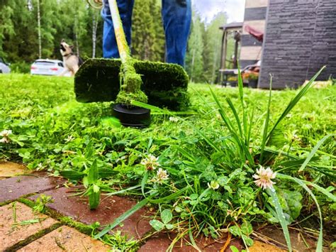 A Man Worker Cutting Green Grass With A Manual Lawn Mower In Summer Or
